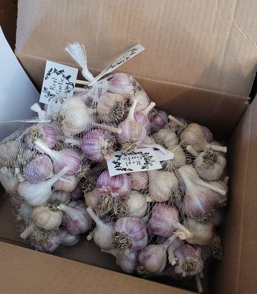 Pierson family rolls up their sleeves to dig into home-based business - DiscoverWestman.com ...